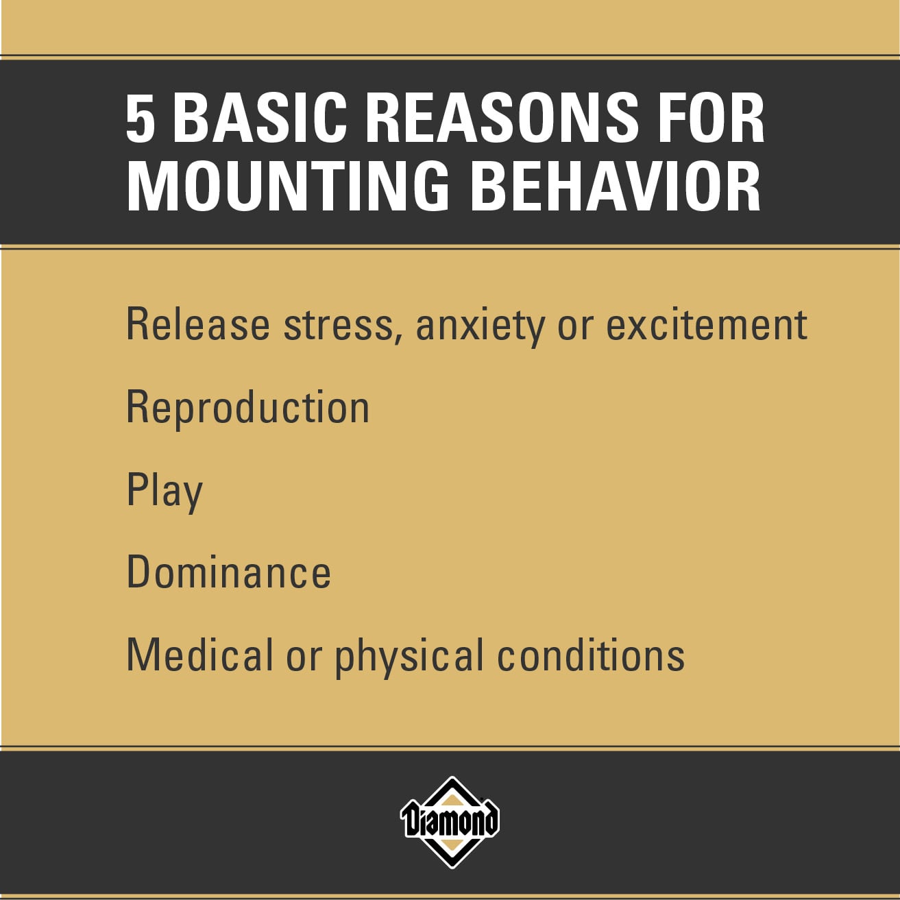 Understanding Dog Behavior: Why Do Dogs Hump?