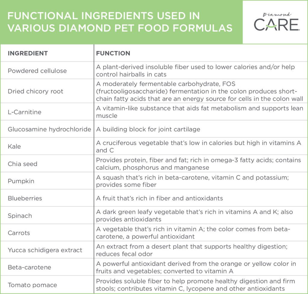 Exploring Functional Ingredients in Pet Food